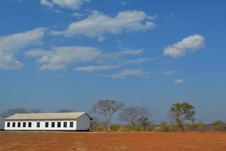 Off the Clock: Sheila Farthing on Wellness and Giving Back — ECS