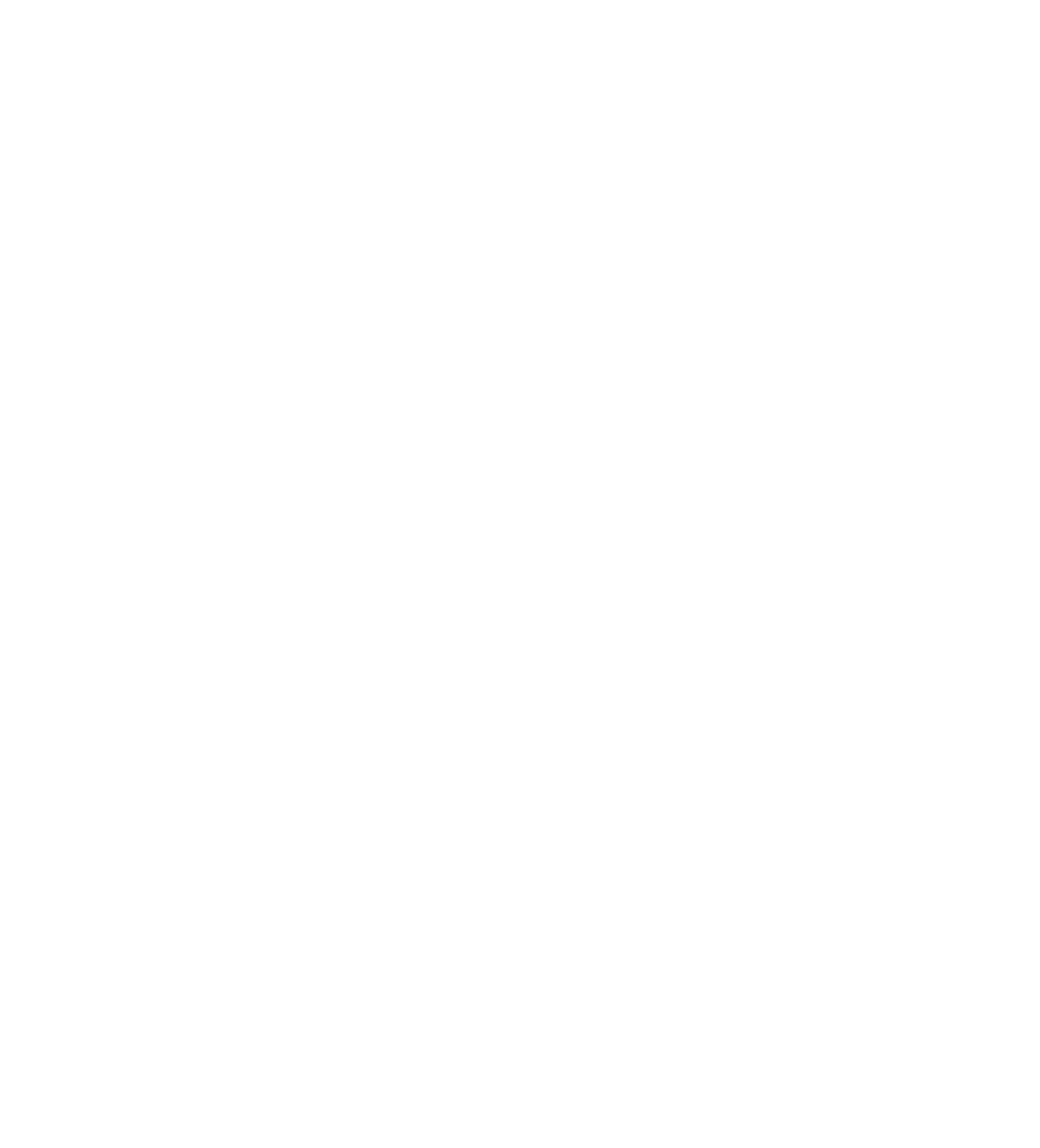 ECS Careers — CISA CDM Data Services