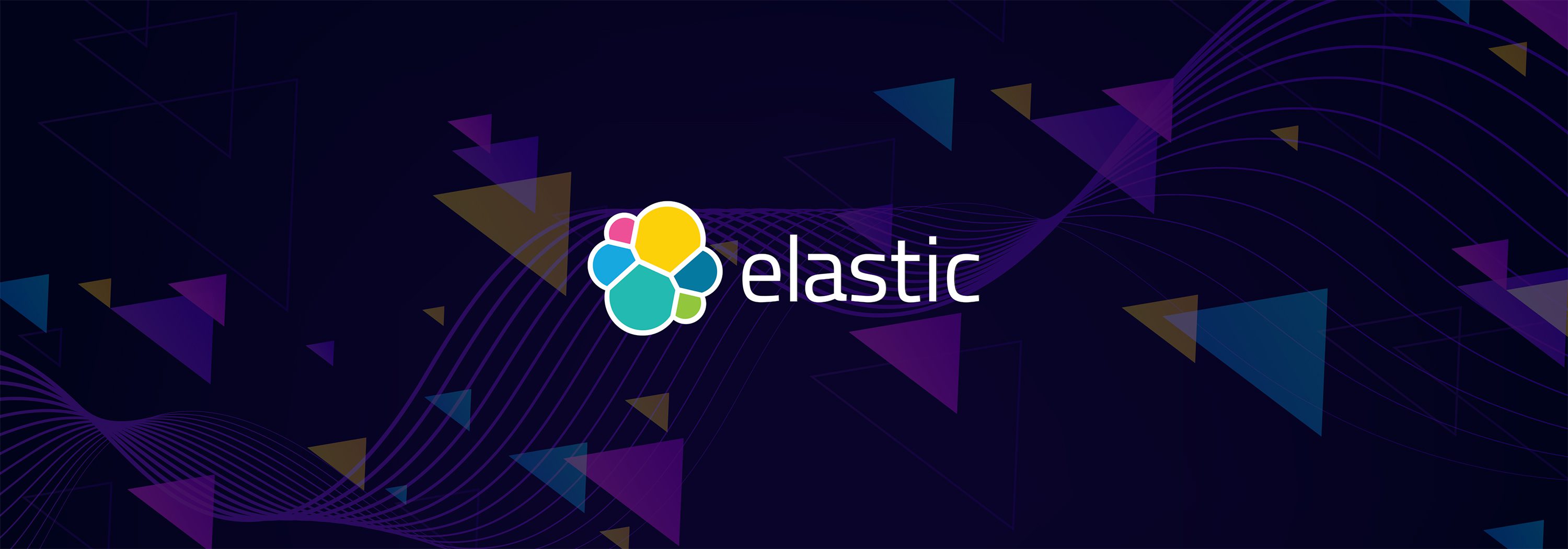 ECS Named Elastic Services Partner of the Year — ECS